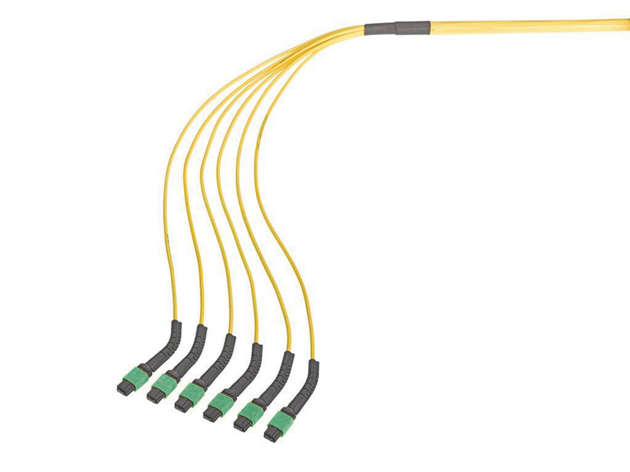 MPO Cables and Adapters | Molex